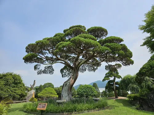 Best Hikes and Trails in Bear Tree Park | AllTrails