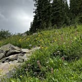 Hope Lake Trail, Colorado - 1,244 Reviews, Map | AllTrails