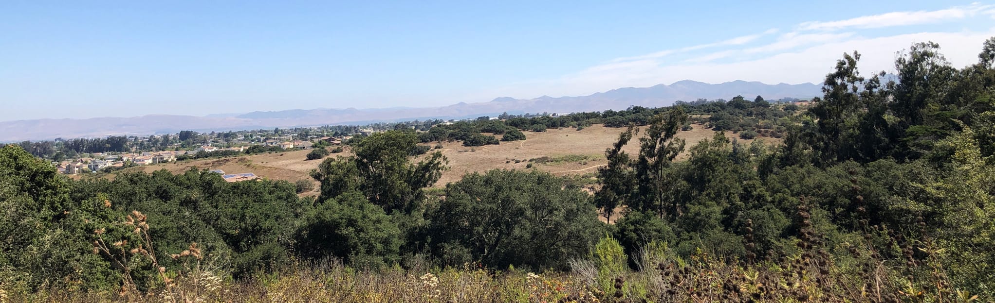 Rice Ranch Valley View Trail, California - 401 Reviews, Map | AllTrails
