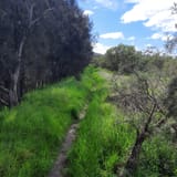 Dorntj Koorliny - Burlong Pool, Western Australia, Australia - 15 ...