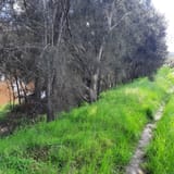 Dorntj Koorliny - Burlong Pool, Western Australia, Australia - 15 ...