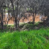 Dorntj Koorliny - Burlong Pool, Western Australia, Australia - 15 ...