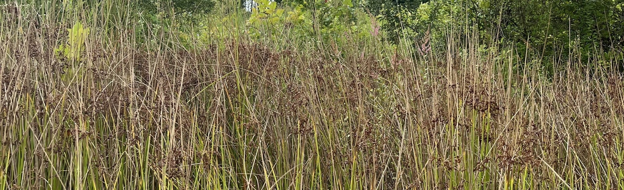 Westmoreland Heritage Trail via Delmont Trailhead, Pennsylvania - 275 ...