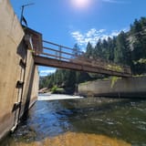 Gill Trail, Colorado - 302 Reviews, Map | AllTrails