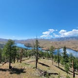 Gill Trail, Colorado - 302 Reviews, Map | AllTrails