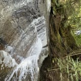 Slippery Rock Gorge Trail, Pennsylvania - 1,215 Reviews, Map | AllTrails