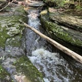 Slippery Rock Gorge Trail, Pennsylvania - 1,215 Reviews, Map | AllTrails