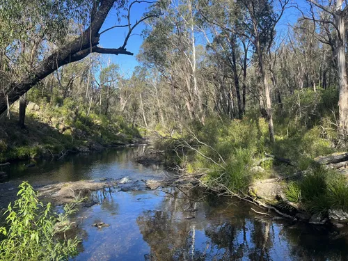 Best Hikes and Trails in Monga National Park | AllTrails