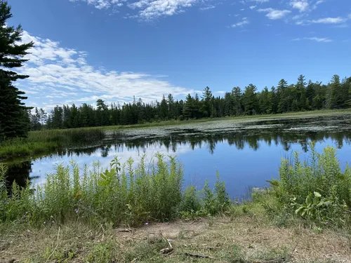 Best 10 Hikes and Trails in Wilderness State Park | AllTrails