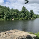 Breakheart Reservation Loop, Massachusetts - 1,037 Reviews, Map | AllTrails