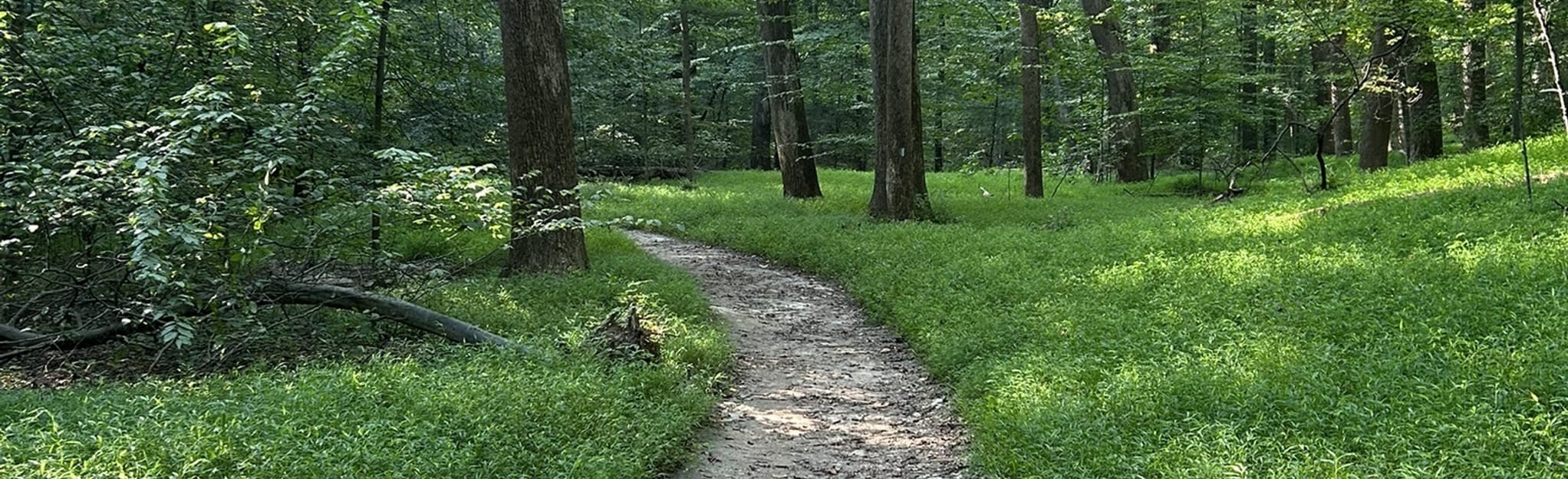 Gold Mine Loop Trail, Maryland - 810 Reviews, Map | AllTrails
