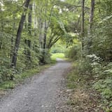 Rocky Run Stream Valley Trail, Virginia - 566 Reviews, Map | AllTrails