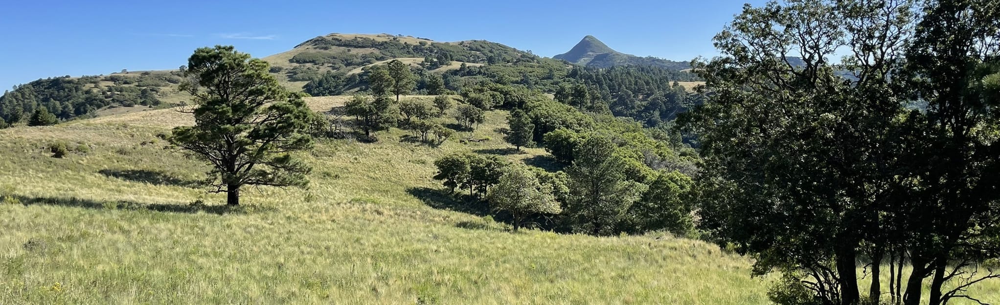 Argentina Peak and Little Bonito Trail Loop, New Mexico - 379 Reviews ...