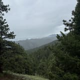 Lefthand Canyon Trail, Colorado - 473 Reviews, Map | AllTrails