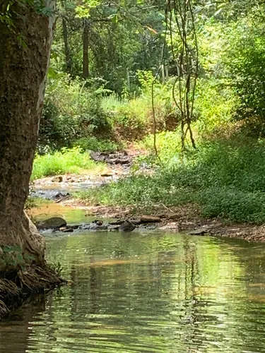 Best Hikes and Trails in Ballenger Creek Park | AllTrails