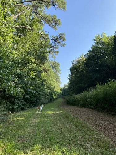 Best Hikes and Trails in Powhatan Wildlife Management Area | AllTrails