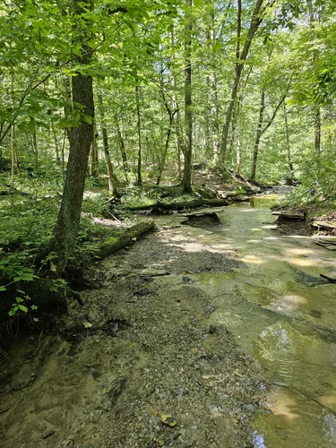 10 Best Trails and Hikes in Peninsula | AllTrails