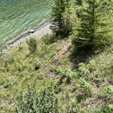 Eagle Lake and James Lake Falls, Alberta, Canada - 166 Reviews, Map ...