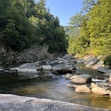 Spence Ridge Trail, North Carolina - 278 Reviews, Map | AllTrails
