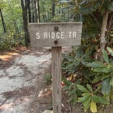 Spence Ridge Trail, North Carolina - 321 Reviews, Map | AllTrails