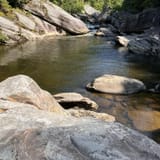 Spence Ridge Trail, North Carolina - 266 Reviews, Map | AllTrails