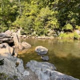 Spence Ridge Trail, North Carolina - 278 Reviews, Map | AllTrails