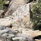 Spence Ridge Trail, North Carolina - 266 Reviews, Map | AllTrails