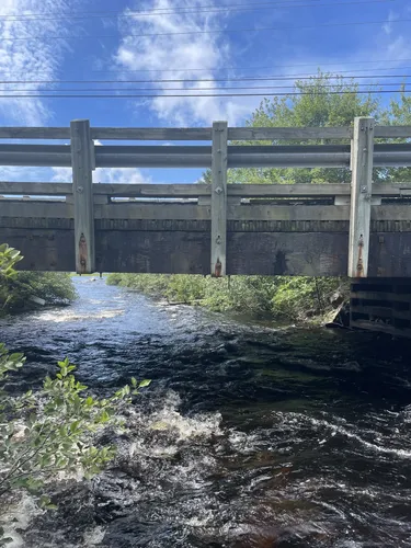 Best Hikes and Trails in Gaetz Brook Greenway | AllTrails