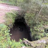 Dames Cave, Florida - 530 Reviews, Map | AllTrails