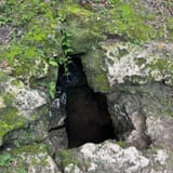 Dames Cave, Florida - 530 Reviews, Map | AllTrails