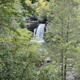 Savage Falls, Tennessee - 660 Reviews, Map | AllTrails