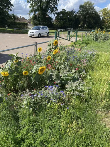 Best Hikes and Trails in Priory Park | AllTrails