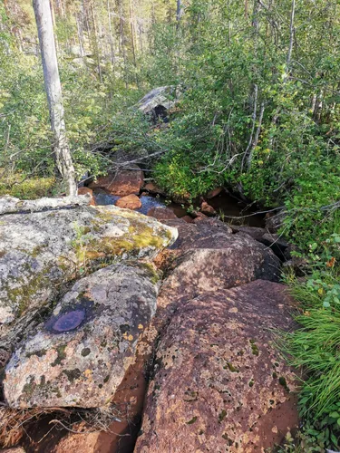 Best Views Trails in Muddus National Park | AllTrails