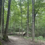 Paul Ruster Trail, Indiana - 235 Reviews, Map | AllTrails