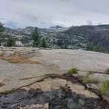 Ten Lakes Trail, California - 529 Reviews, Map | AllTrails