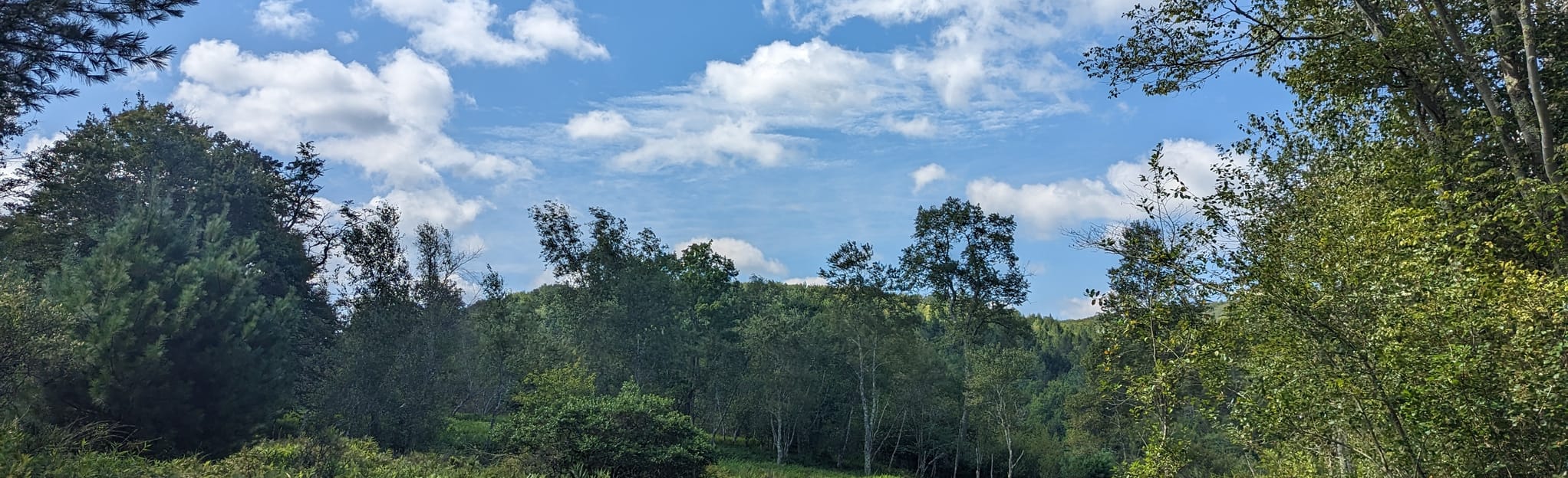 Hickory Run Blue Trail, Pine Hill and Sand Springs Trail, Pennsylvania ...