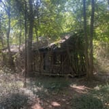 Mazeppa Park Trail, North Carolina - 444 Reviews, Map | AllTrails