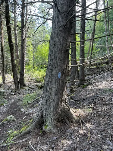 Best Hikes and Trails in Butler Head Preserve | AllTrails