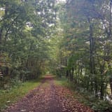 Farmdale Recreation Area Trail, Illinois - 969 Reviews, Map | AllTrails