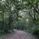 Farmdale Recreation Area Trail, Illinois - 969 Reviews, Map | AllTrails