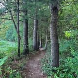 Farmdale Recreation Area Trail, Illinois - 969 Reviews, Map | AllTrails