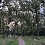 Farmdale Recreation Area Trail, Illinois - 969 Reviews, Map | AllTrails