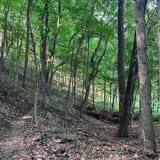 Farmdale Recreation Area Trail, Illinois - 969 Reviews, Map | AllTrails