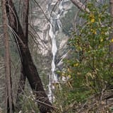 Newhalem Creek Trail, Washington - 21 Reviews, Map | AllTrails