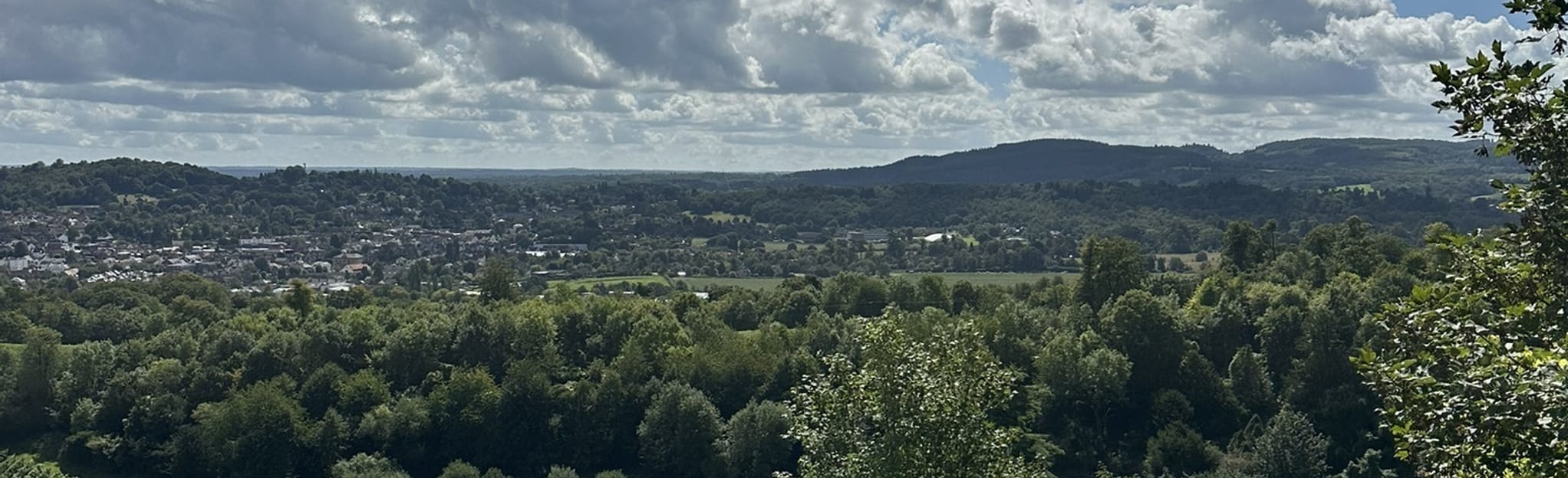Denbies Hillside to Hackhurst Downs to Ashcombe Wood Circular: 76 ...