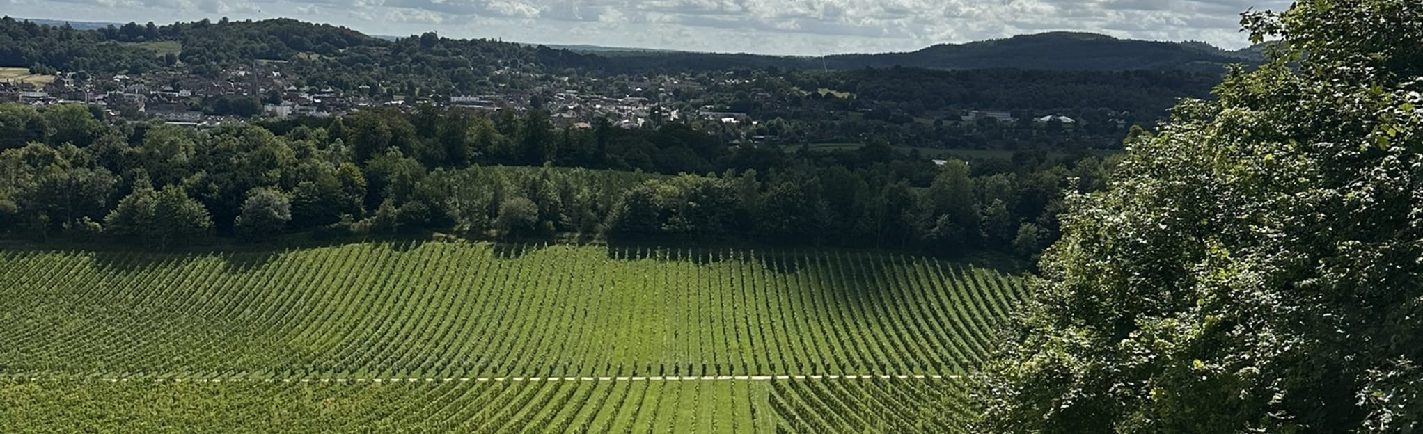 Surrey Three Peaks - Boxhill, Holmbury Hill, Leith Hill, Surrey ...