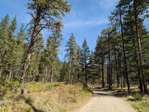 Best 10 Hikes and Trails in Rattlesnake National Recreation Site ...