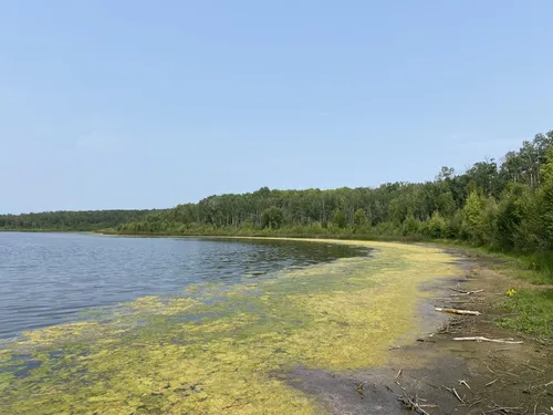 Best Hikes and Trails in Pierceland | AllTrails