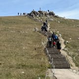 Alpine Ridge Trail, Colorado - 992 Reviews, Map | AllTrails