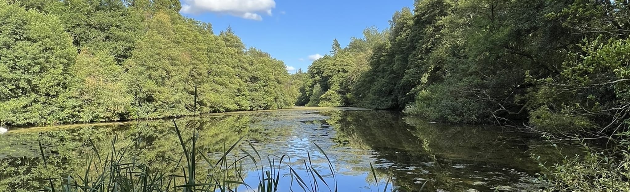 Comer Woods Circular, Shropshire, England - 170 Reviews, Map | AllTrails